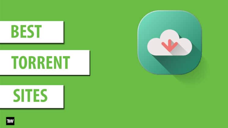 20 Best Torrent Sites in 2025 (Safe & Working)