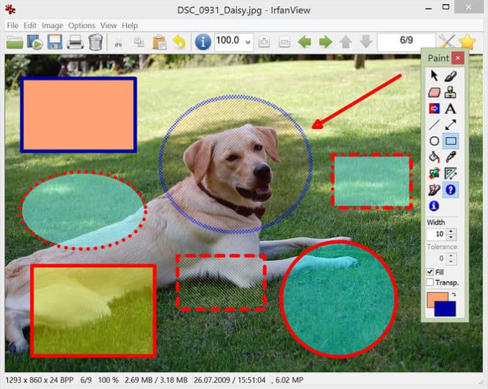 10 Best Photo Viewer For Windows 11 In 2026