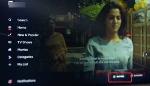 How to Set or Update a Netflix Household?