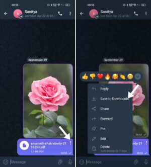 Where to Find Telegram Downloaded Files on Android, iPhone, & PC