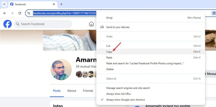 How to View Locked Facebook Profile Photos ( Download Photos )